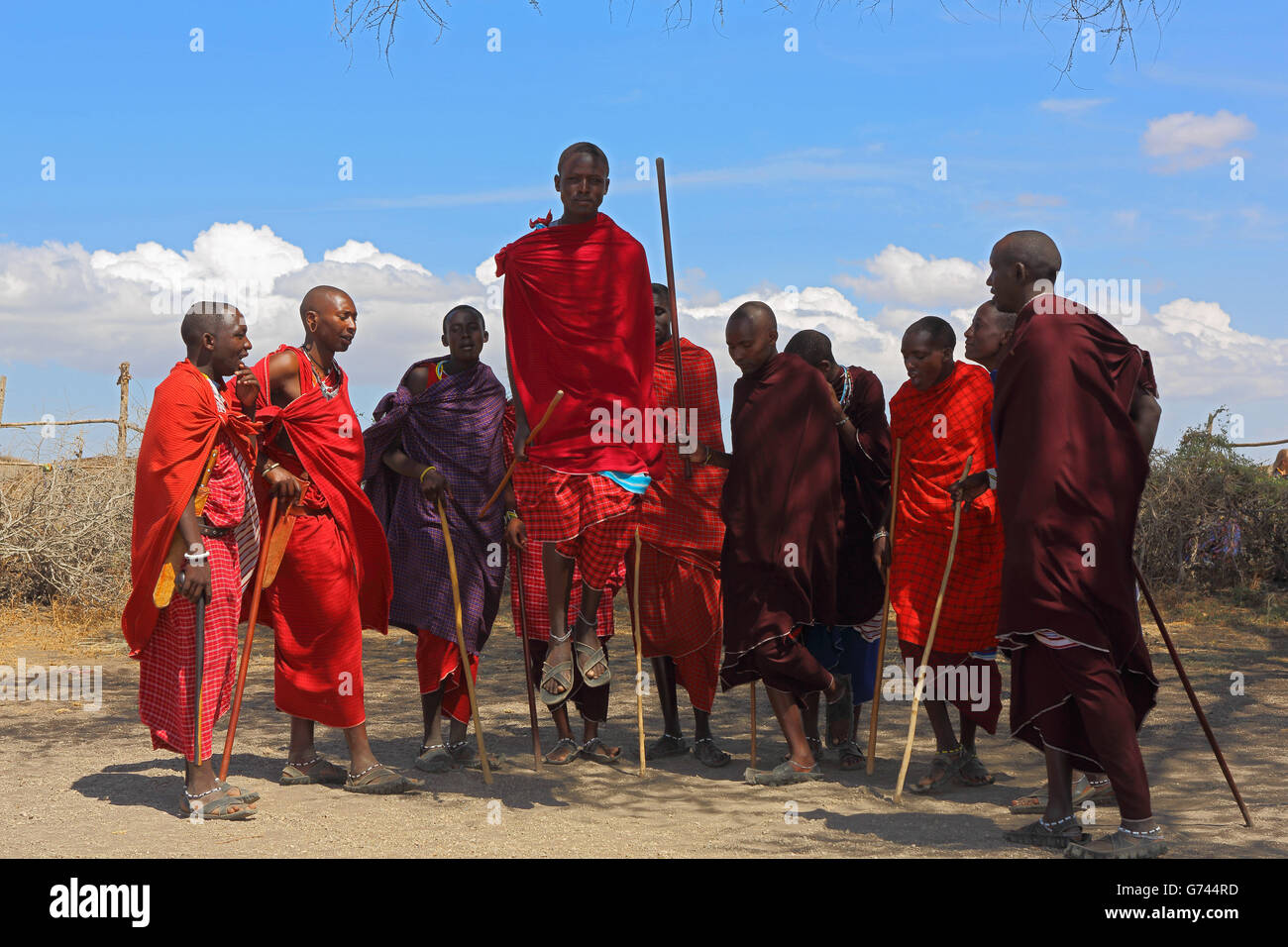 ritual dance, warriors, Tanzania, Africa Stock Photo - Alamy