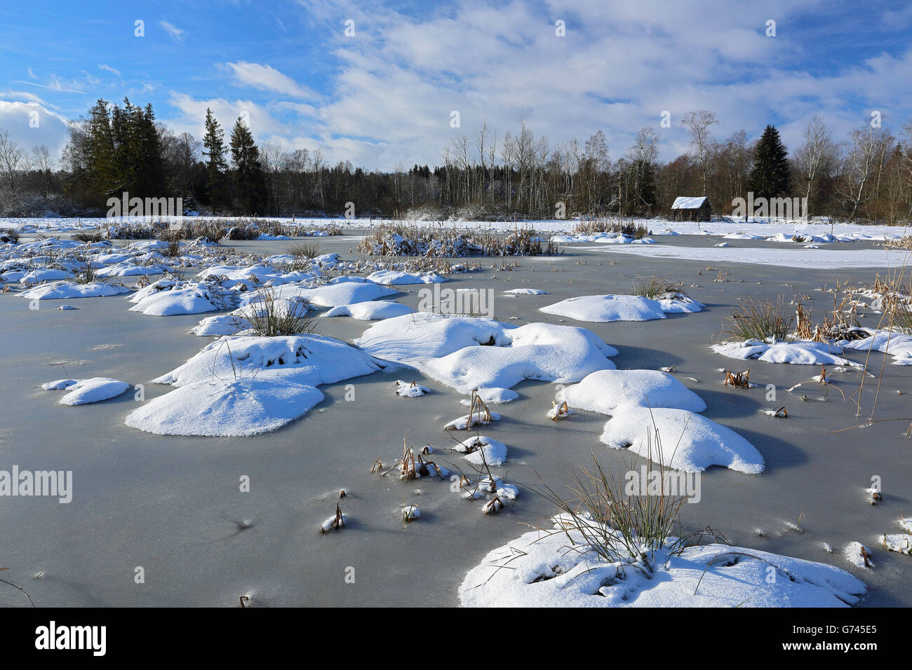 Bog body hi-res stock photography and images - Alamy