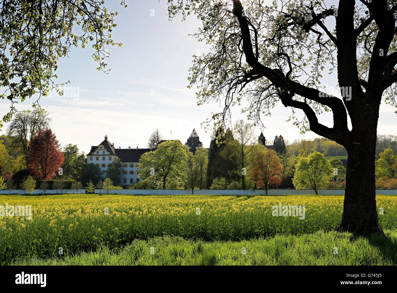 Salem baden hi-res stock photography and images - Alamy