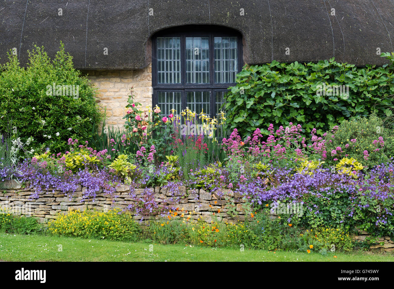 Cotswold stone thatched cottage and garden, Chipping Campden, Cotswolds ...