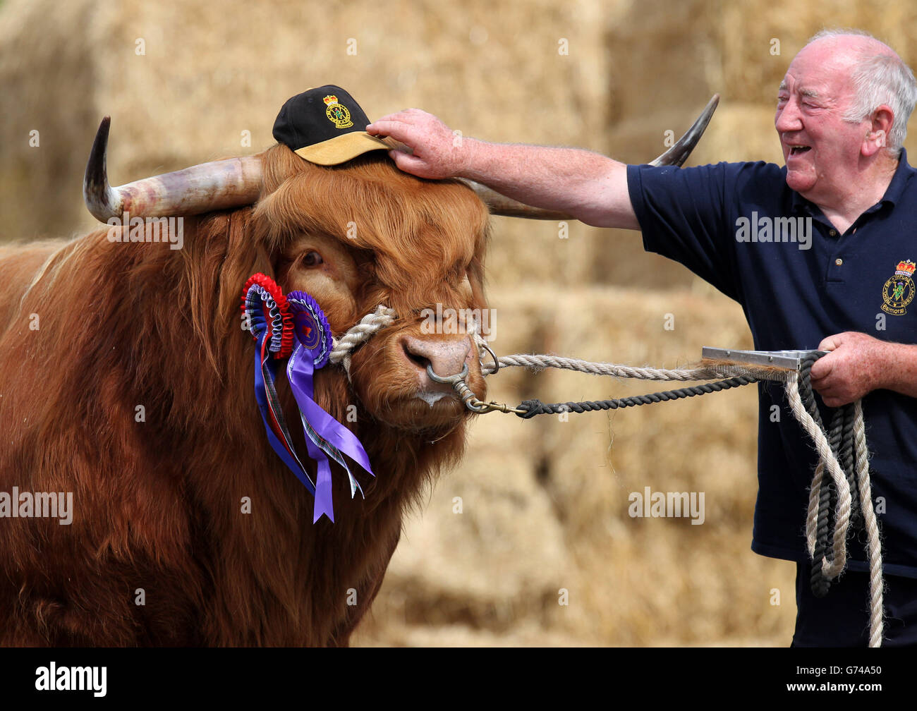 Royal Highland Show Stock Photo - Alamy