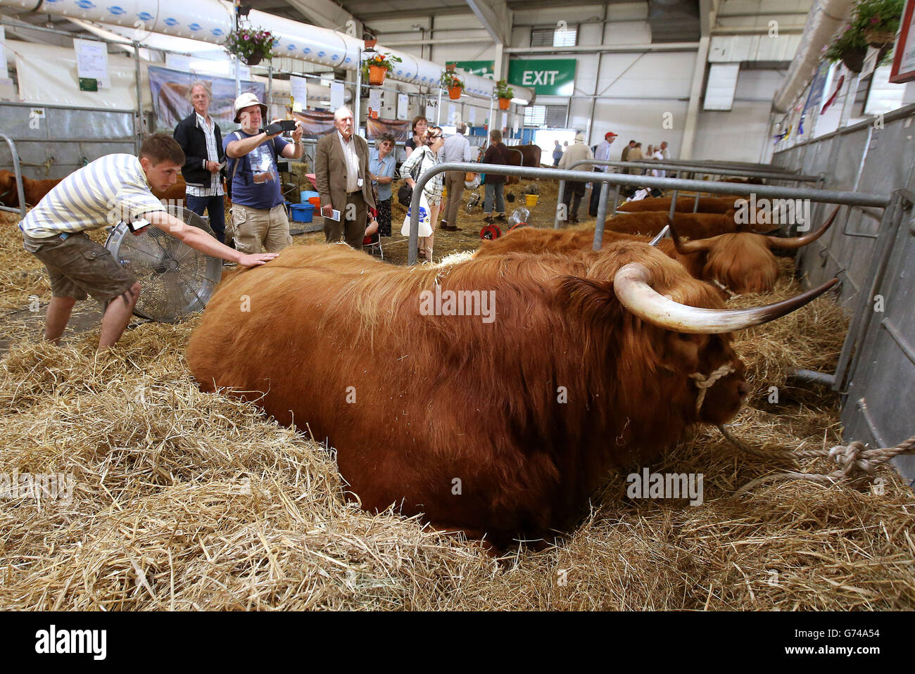 Royal Highland Show Stock Photo - Alamy