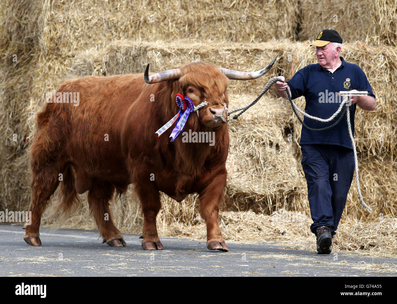 Royal Highland Show Stock Photo - Alamy