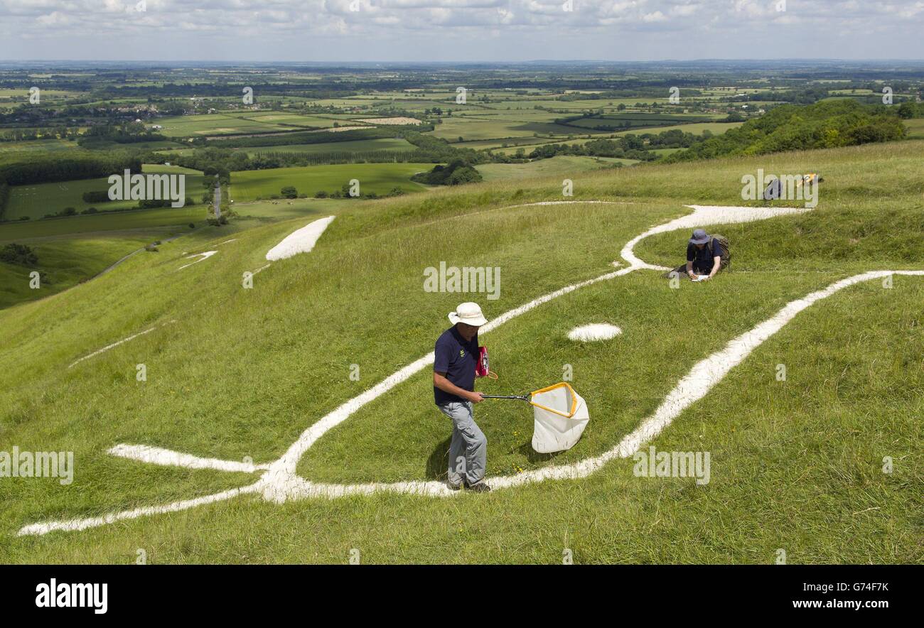 Andy Foster (left) of the National Trust biological survey team uses a ...