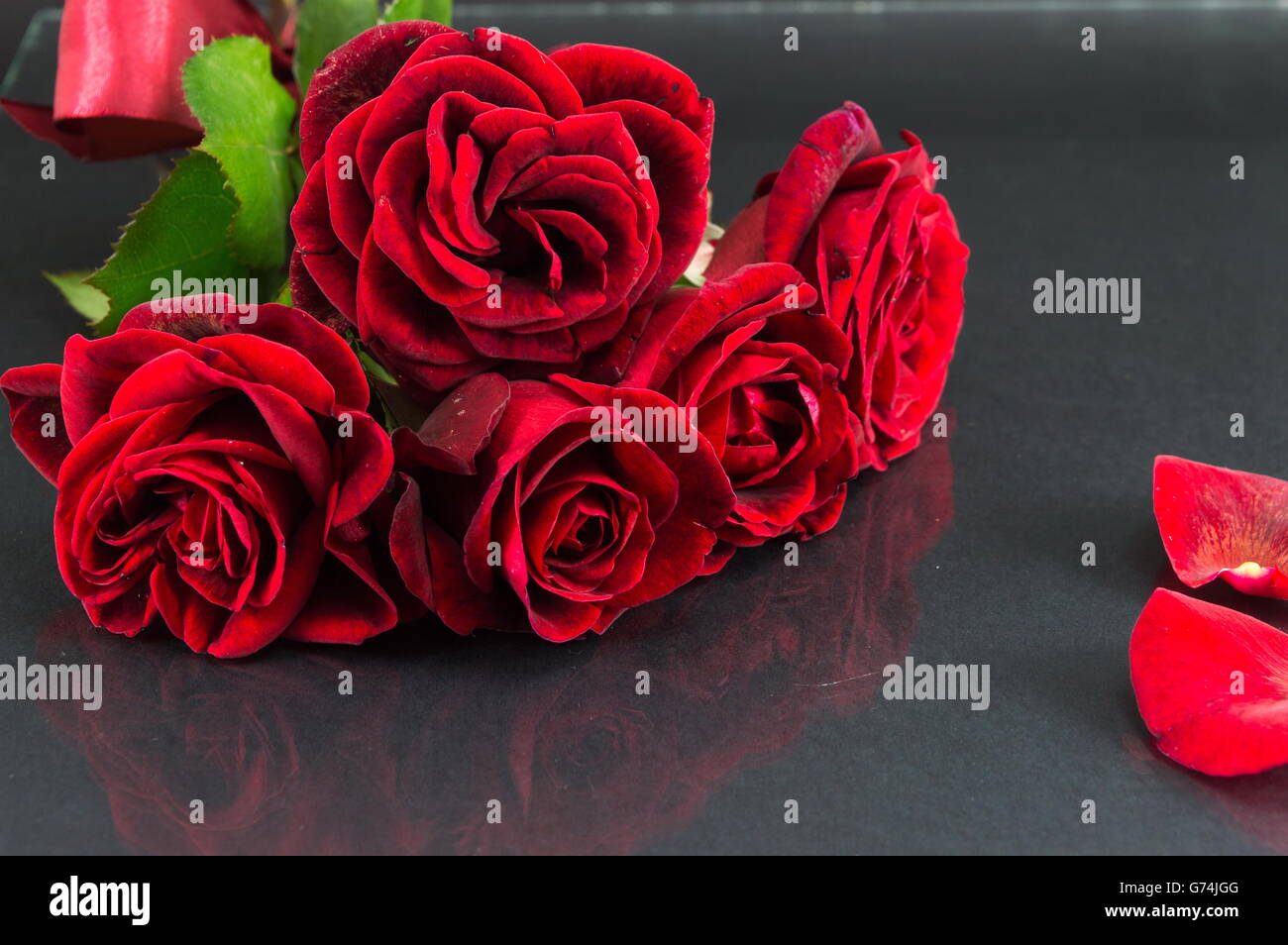 Dark red color hi-res stock photography and images - Alamy