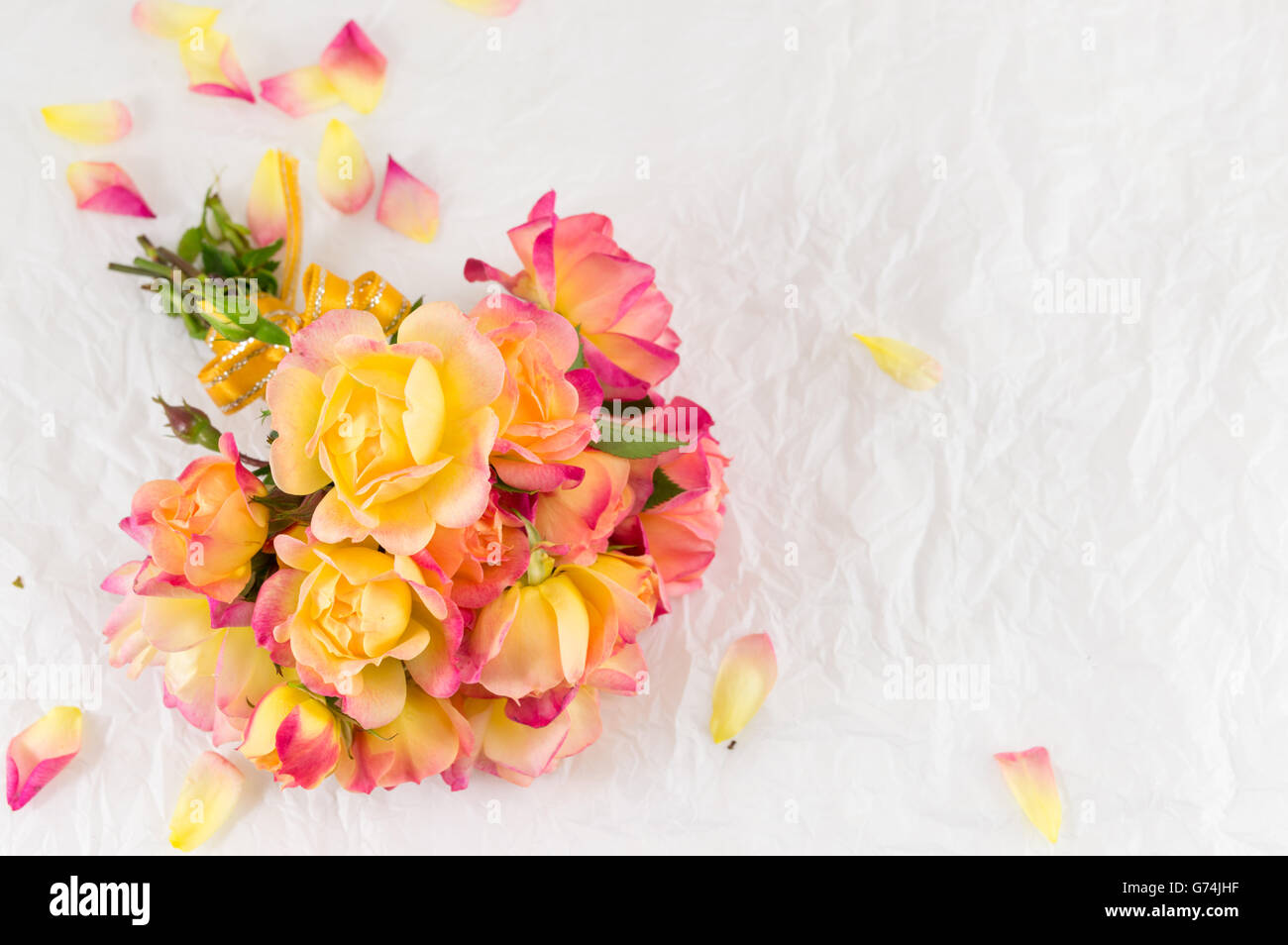 Red and yellow fresh roses on white background Stock Photo - Alamy
