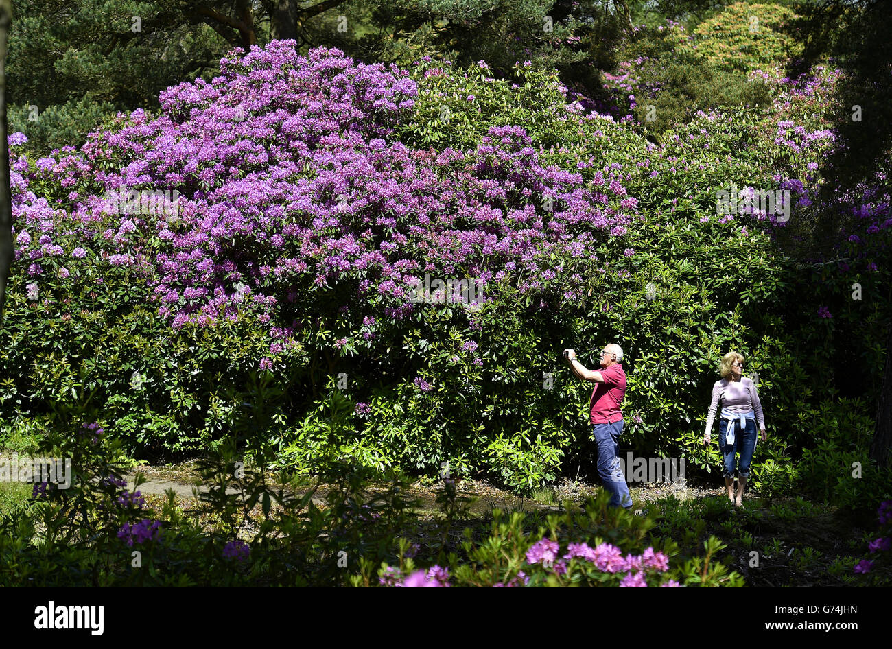 Weather summer ntrustpics hi-res stock photography and images - Alamy