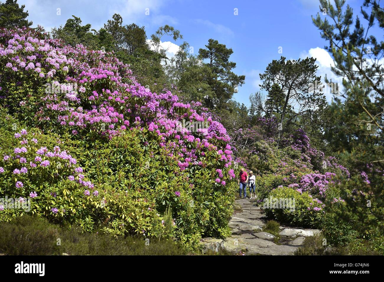 Summer weather June 11th Stock Photo - Alamy