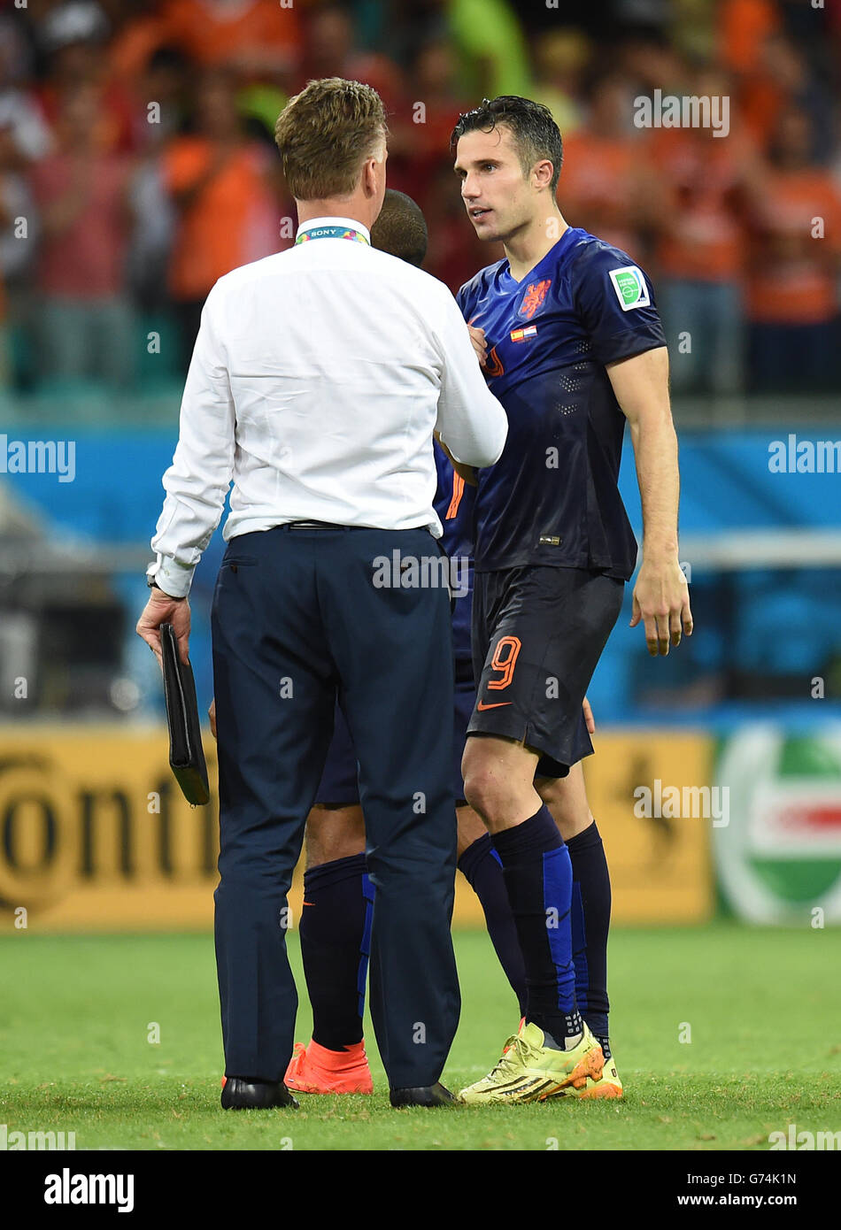 Robin Van Persie Celebration World Cup