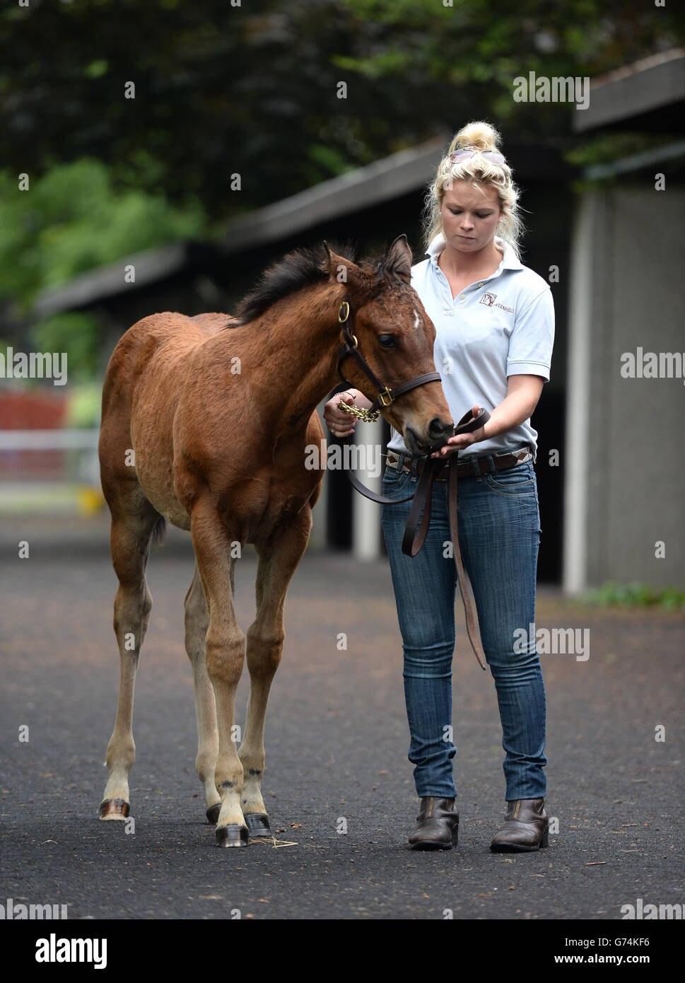 Crystal gaze hi-res stock photography and images - Alamy