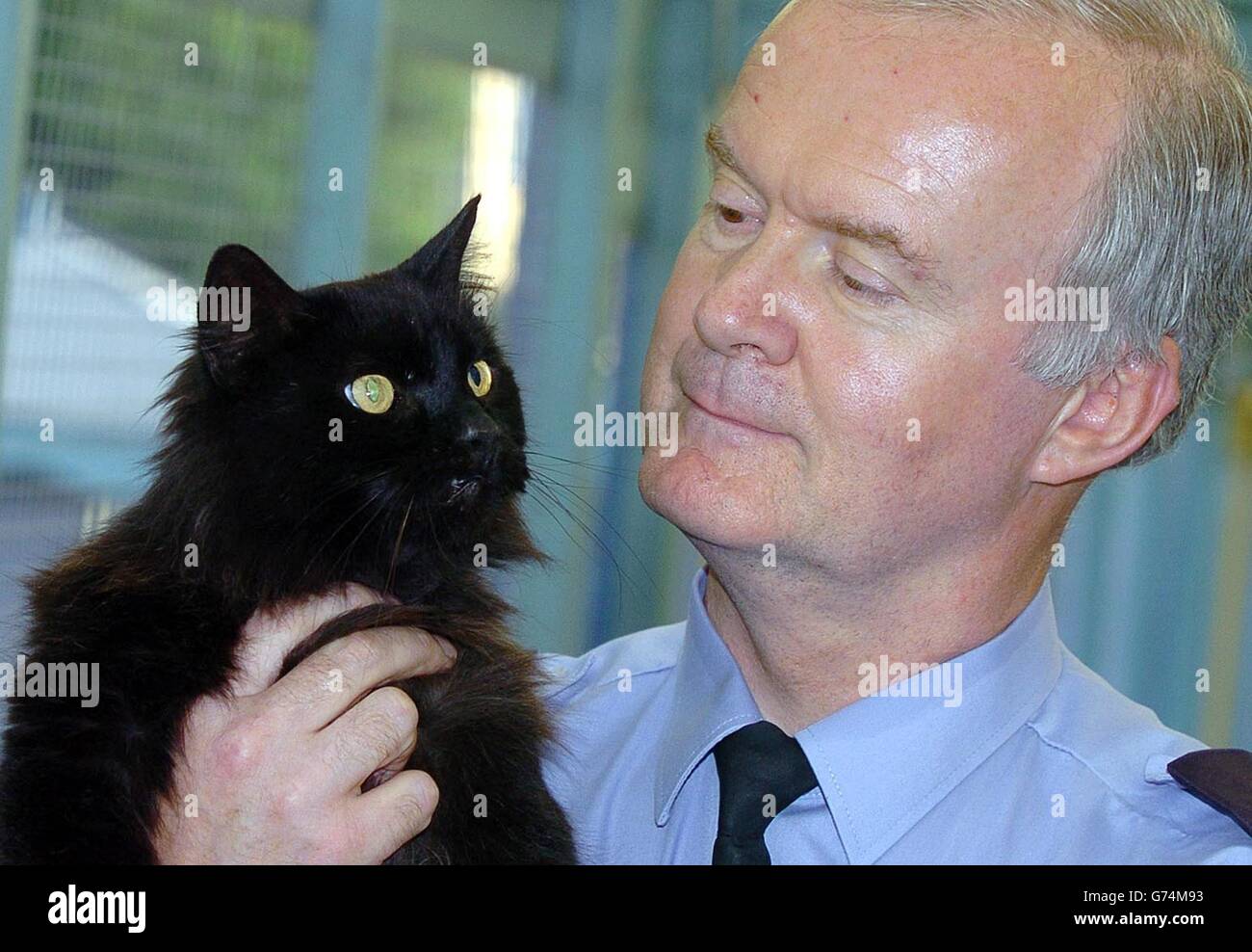 Nicknamed jasper hi-res stock photography and images - Alamy