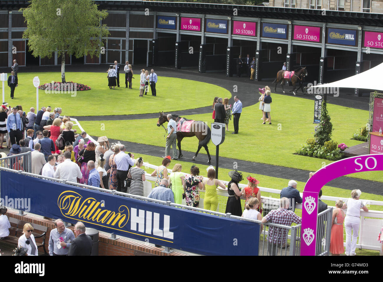Musselburgh racecourse general view hi-res stock photography and images ...