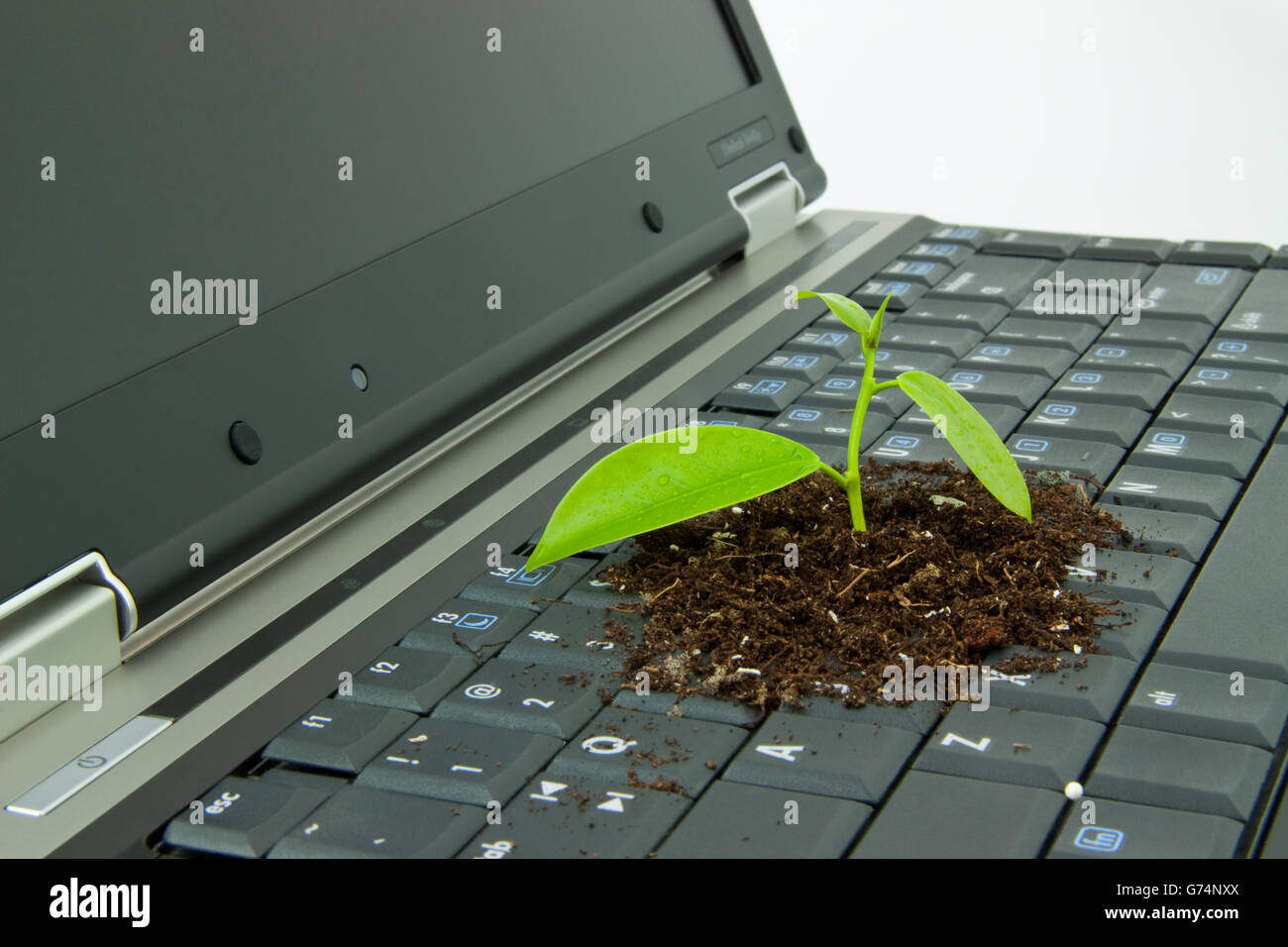 Learning line hi-res stock photography and images - Alamy