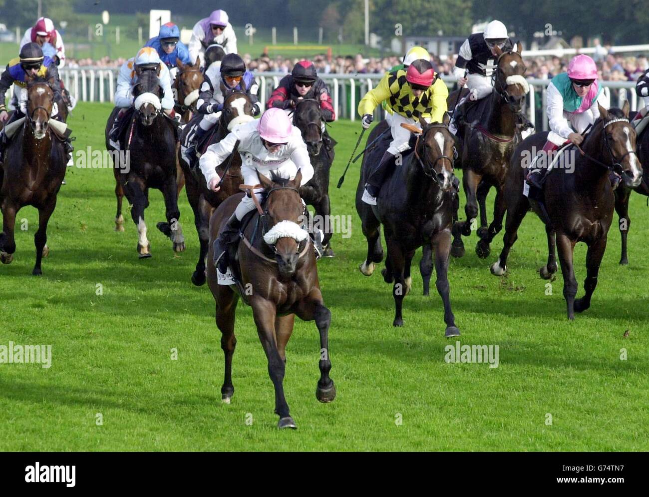 Steve Carson riding Dancing Mystery (pink cap) goes on to win the Tote ...