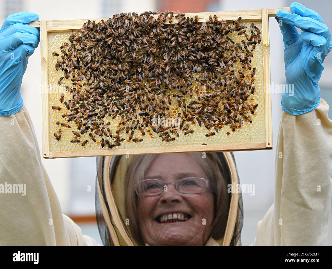 Scottish Parliament Presiding Officer Tricia Marwick holds a honeycomb ...