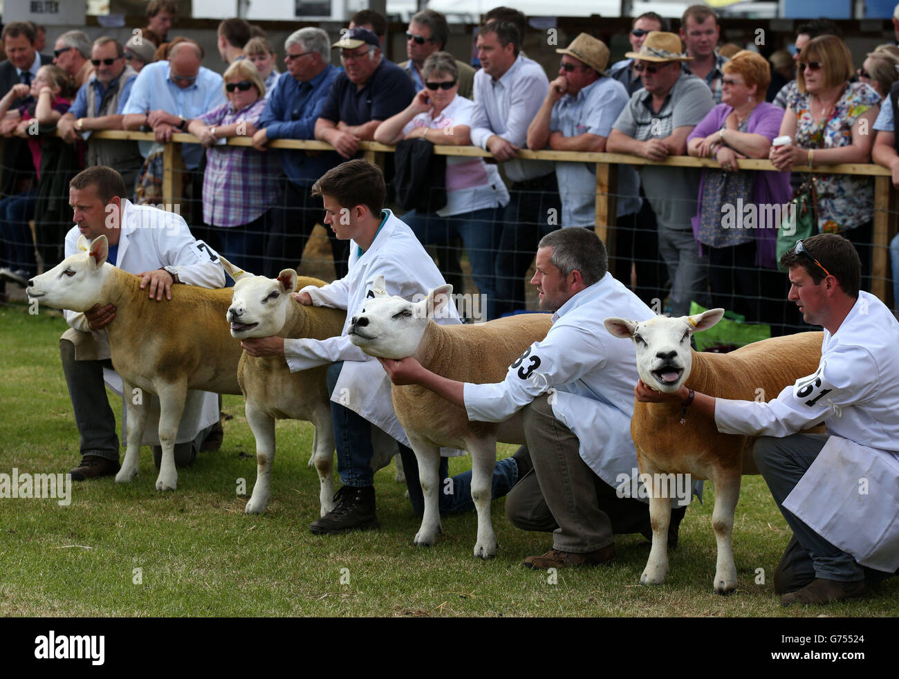 Royal Highland Show Stock Photo - Alamy