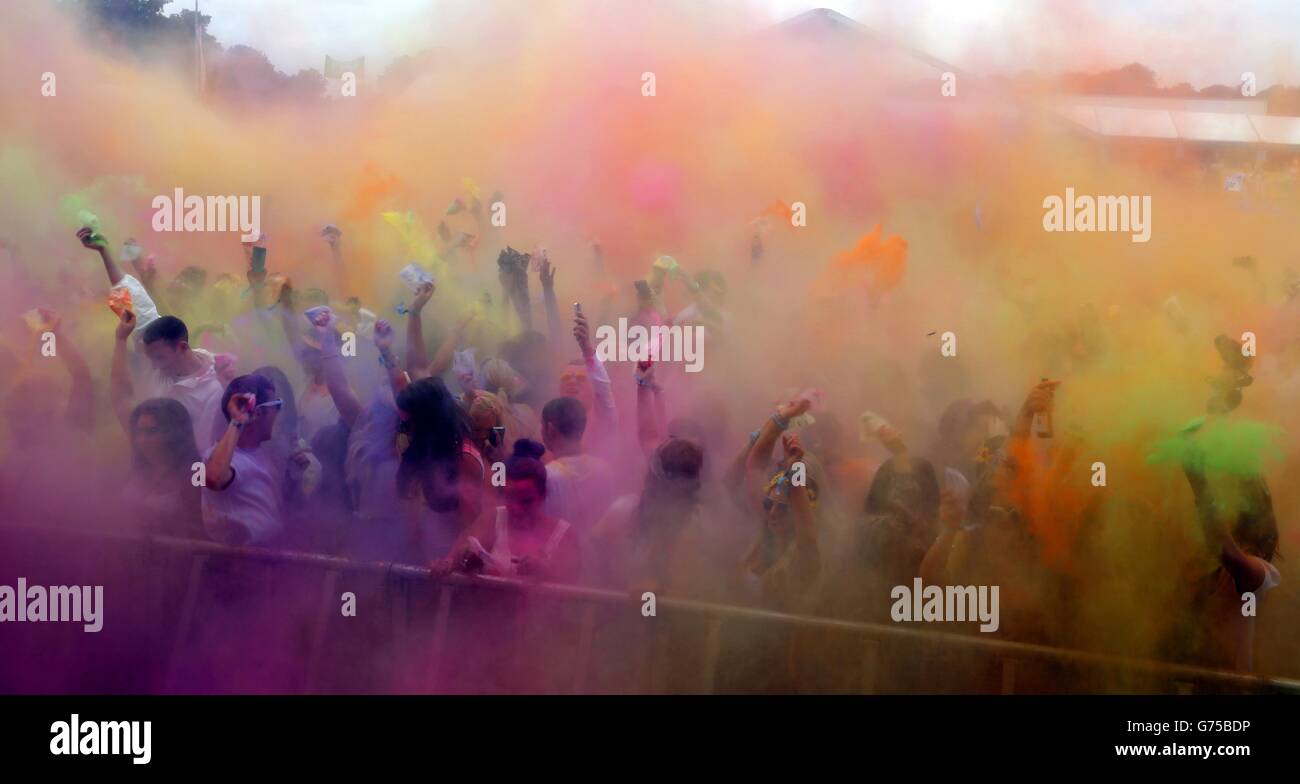 People throw paint - rice flour coloured with water soluble food ...
