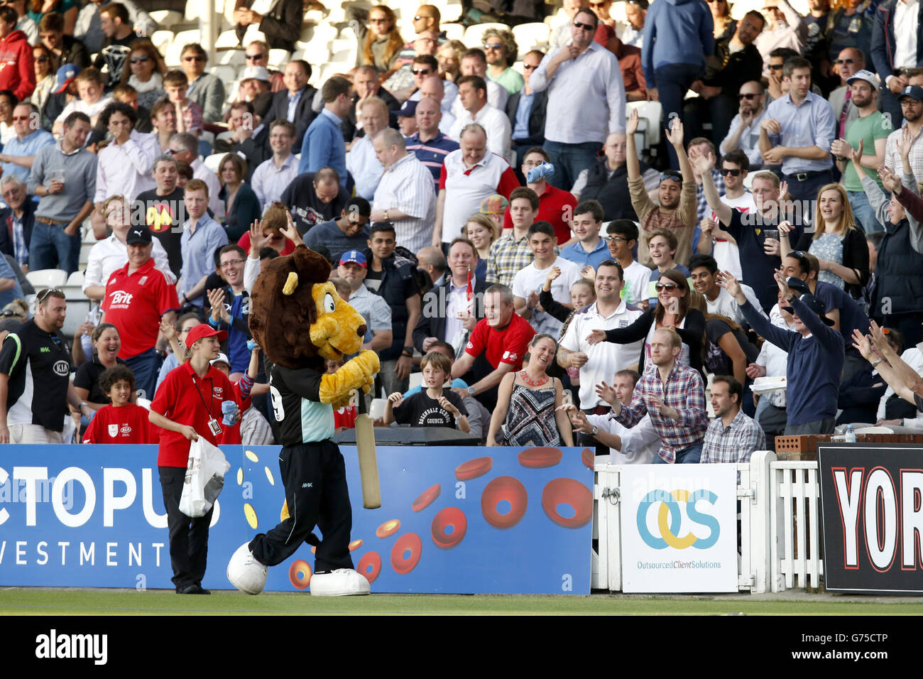 Surreys cesar the lion t shirts into the crowd between overs hi-res ...