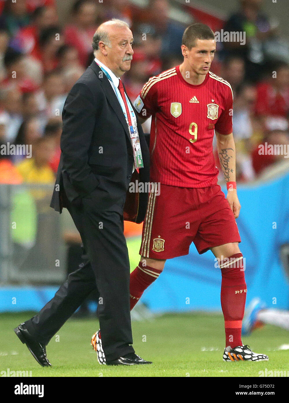 Spain manager vicente del bosque hi-res stock photography and images ...