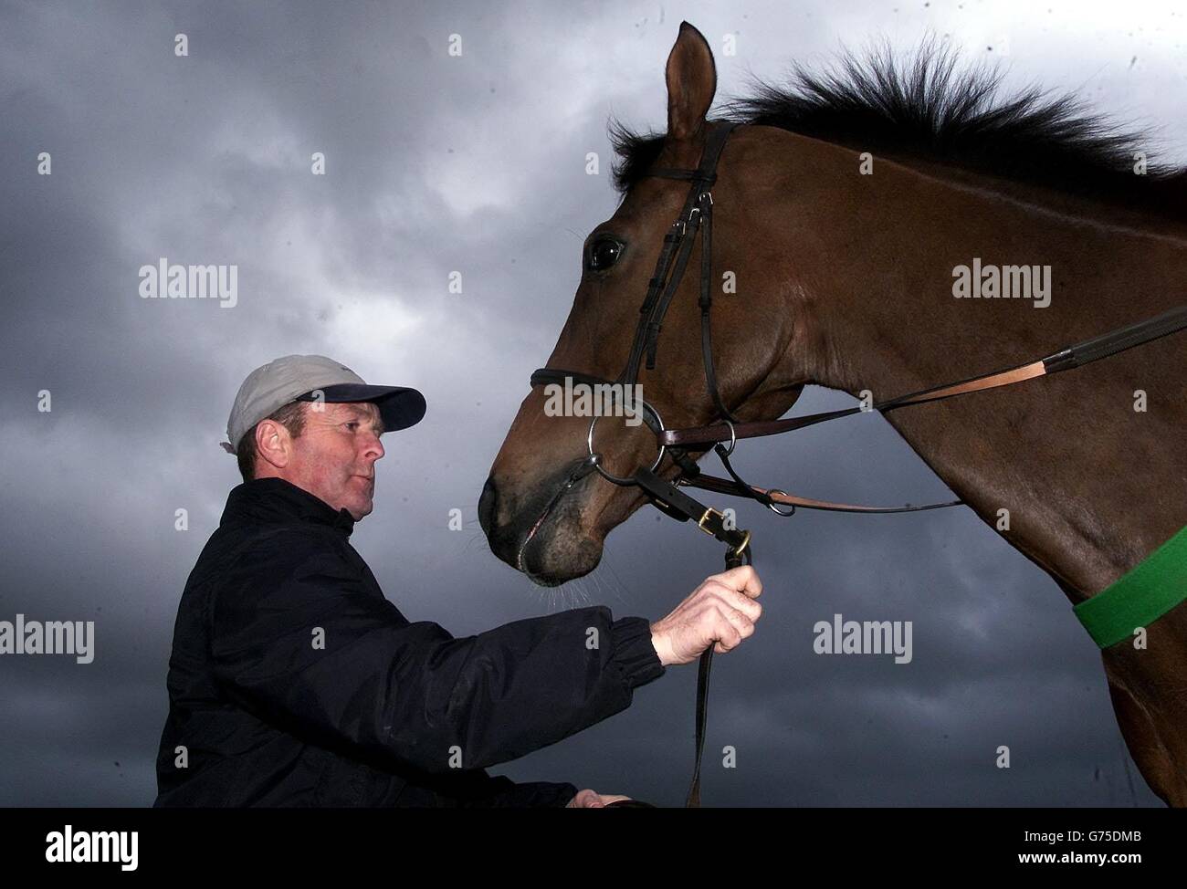 Jackdaws Castle In Cheltenham High Resolution Stock Photography and ...