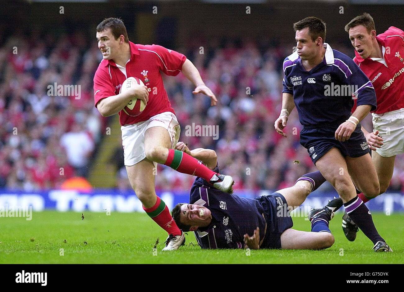 Cardiff scotland won the match 28 21 editorial use only hi-res stock ...
