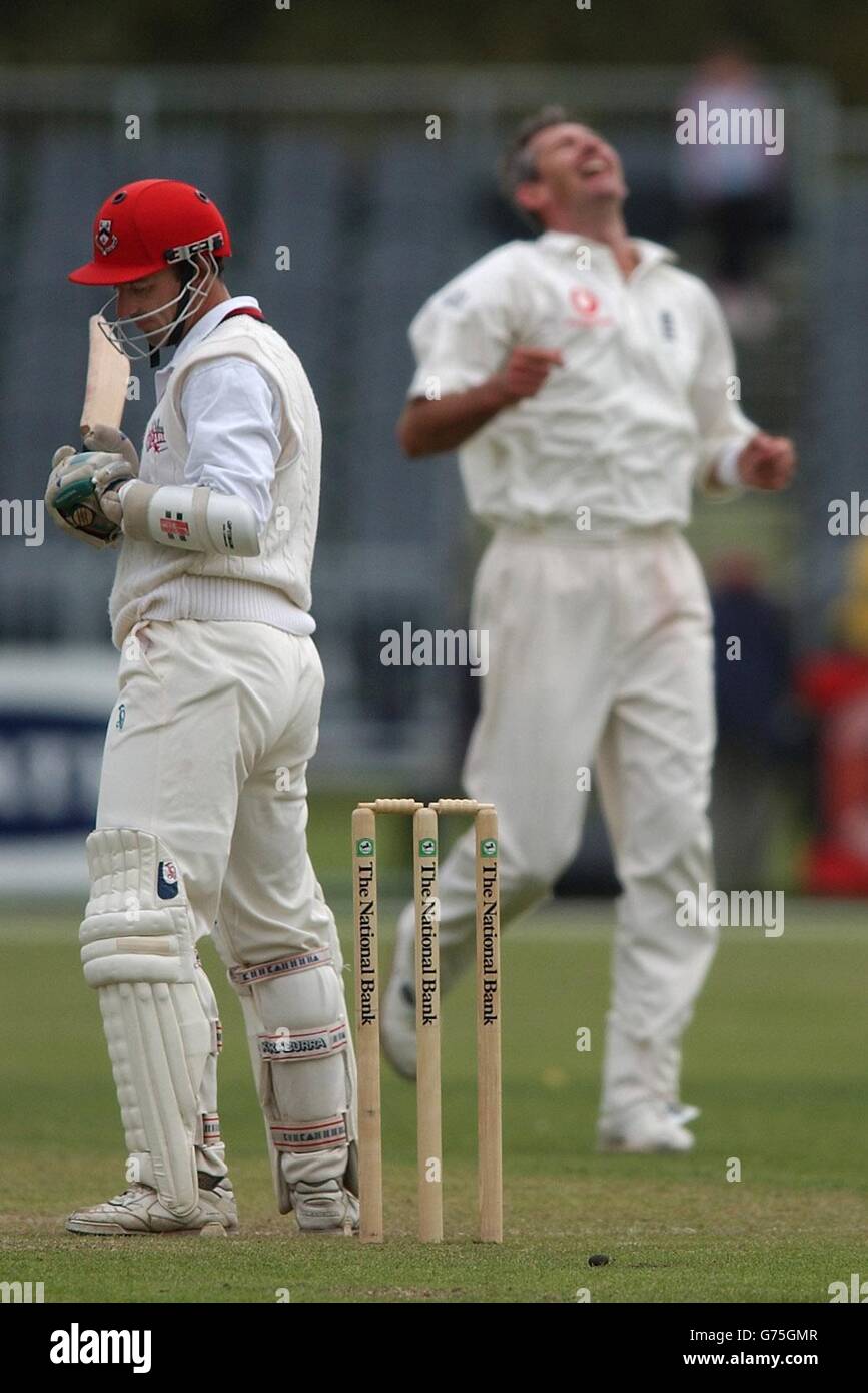 Sport cricket andrew caddick hi-res stock photography and images - Alamy