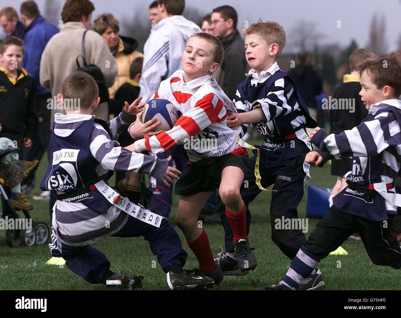 Mini-Rugby. Children from the Manchester area take part in the Lloyds ...