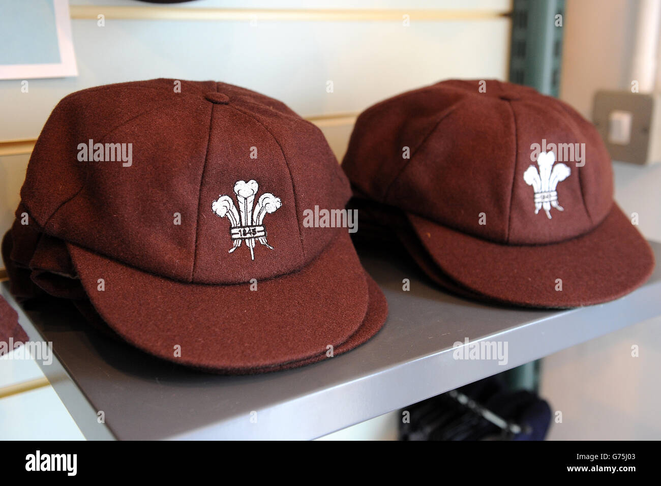 Surrey county cricket club hat detail hi-res stock photography and ...