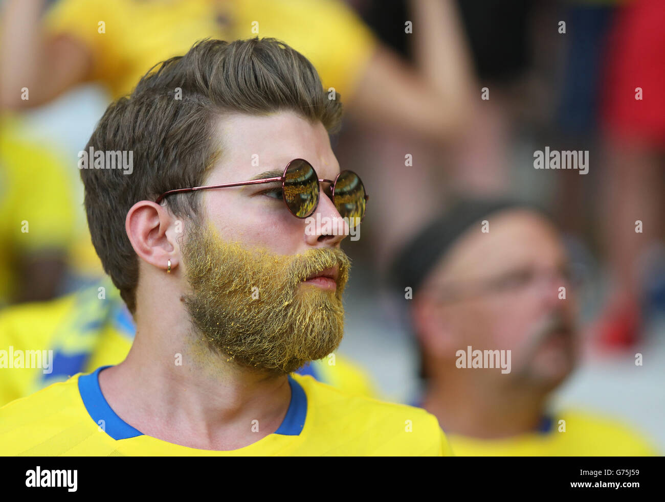 Swedish fan show his support during the UEFA EURO 2016 game Sweden v ...
