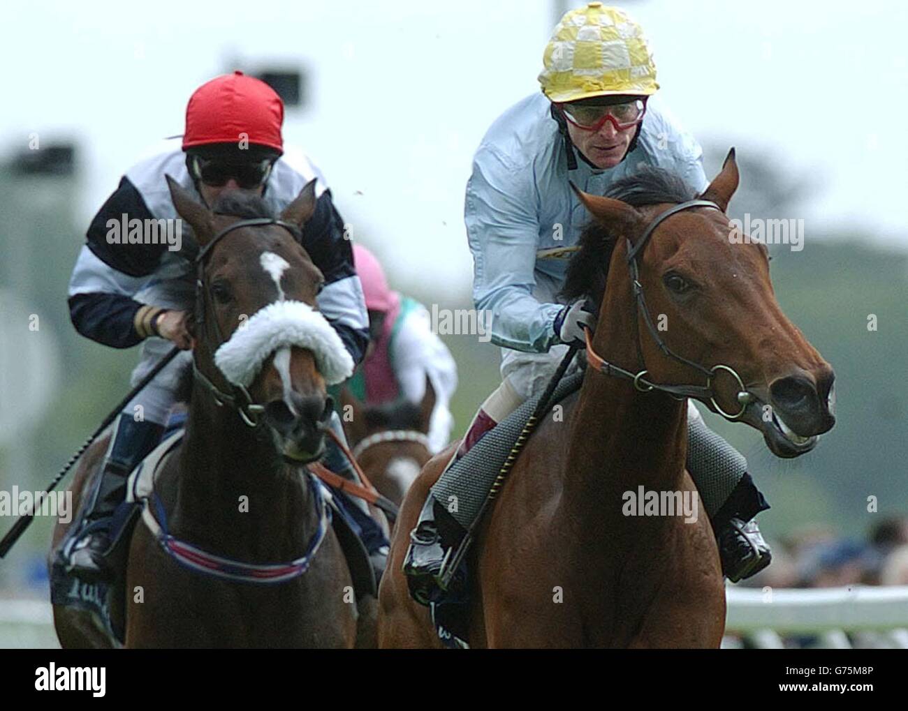 Racing from York Stock Photo - Alamy