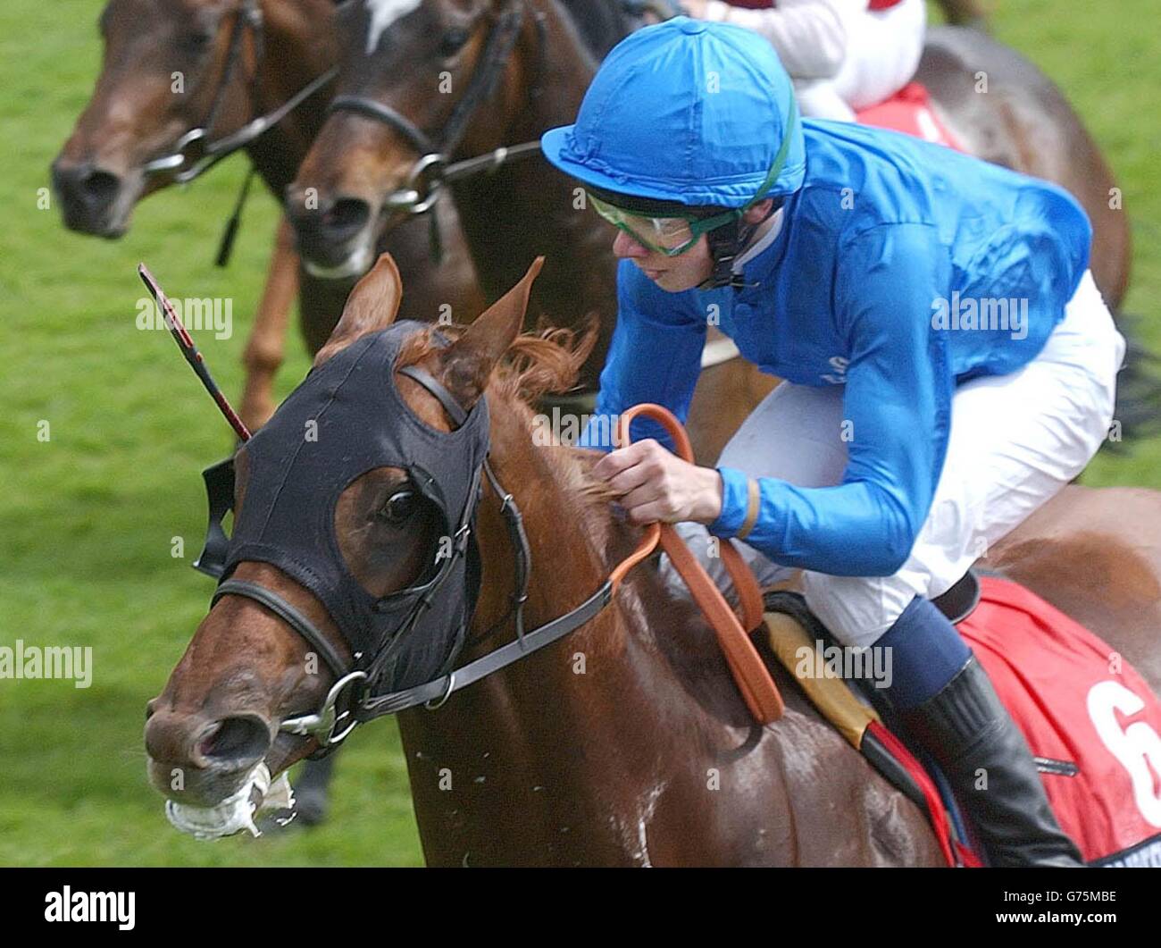 Racing from York Stock Photo - Alamy