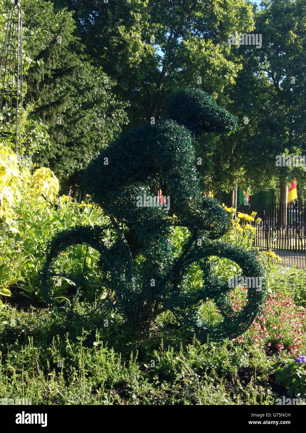 Tour de France themed topiary in St James's Park, London, as the world ...