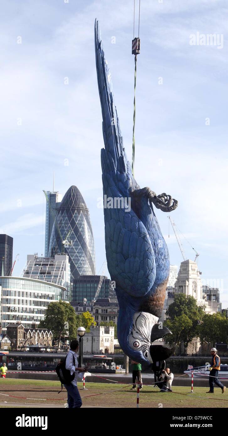 Monty python parrot hi-res stock photography and images - Alamy