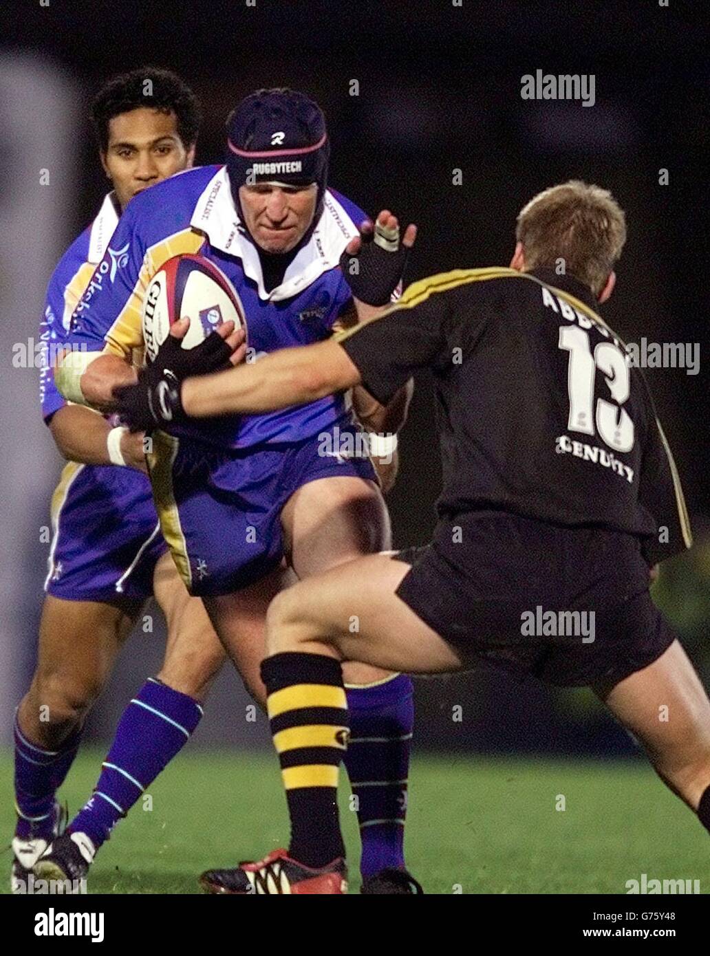 Wasps Stuart Abbott High Resolution Stock Photography and Images - Alamy