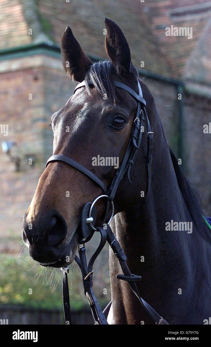 Prestigious stable hi-res stock photography and images - Alamy