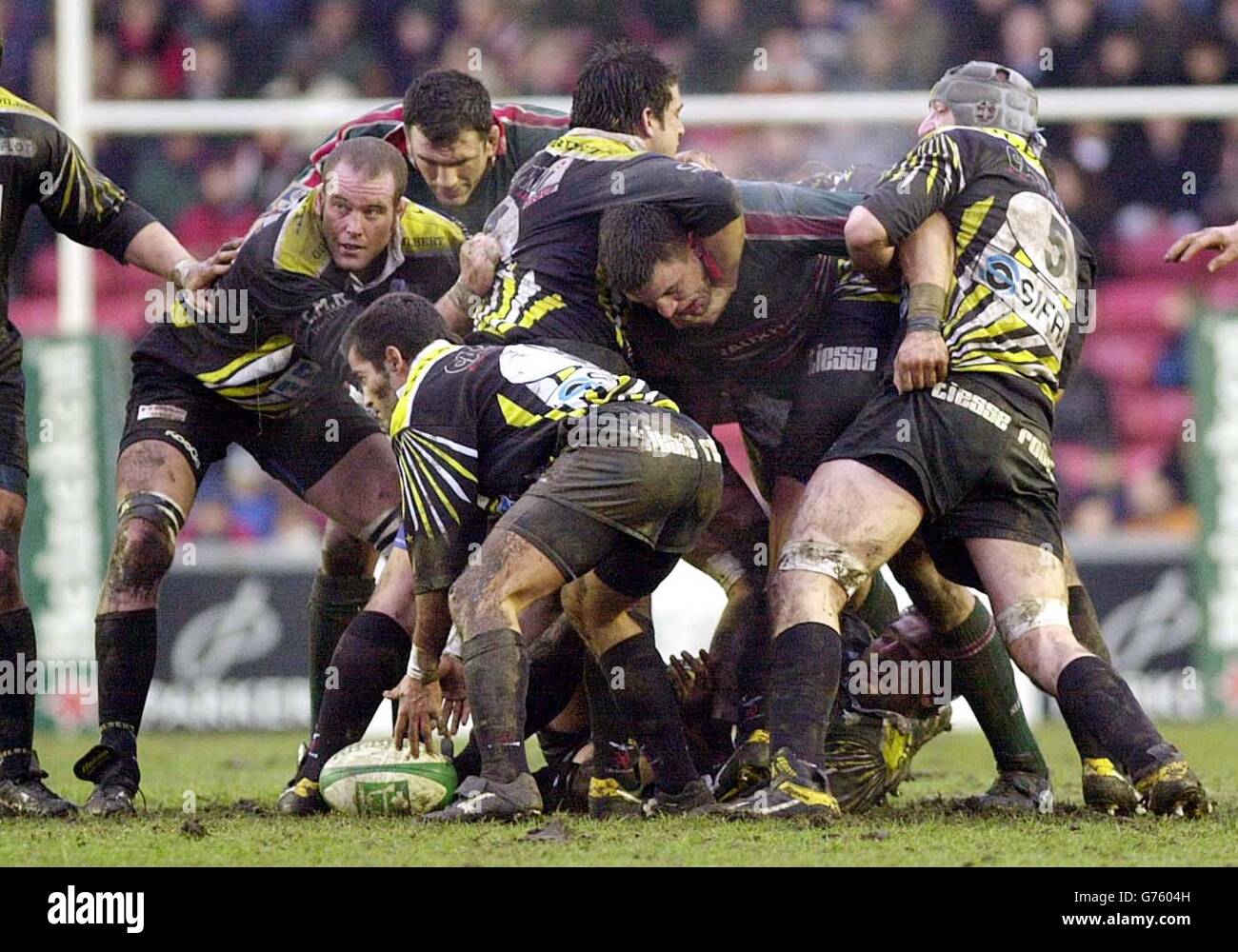 Dragotto hi-res stock photography and images - Alamy