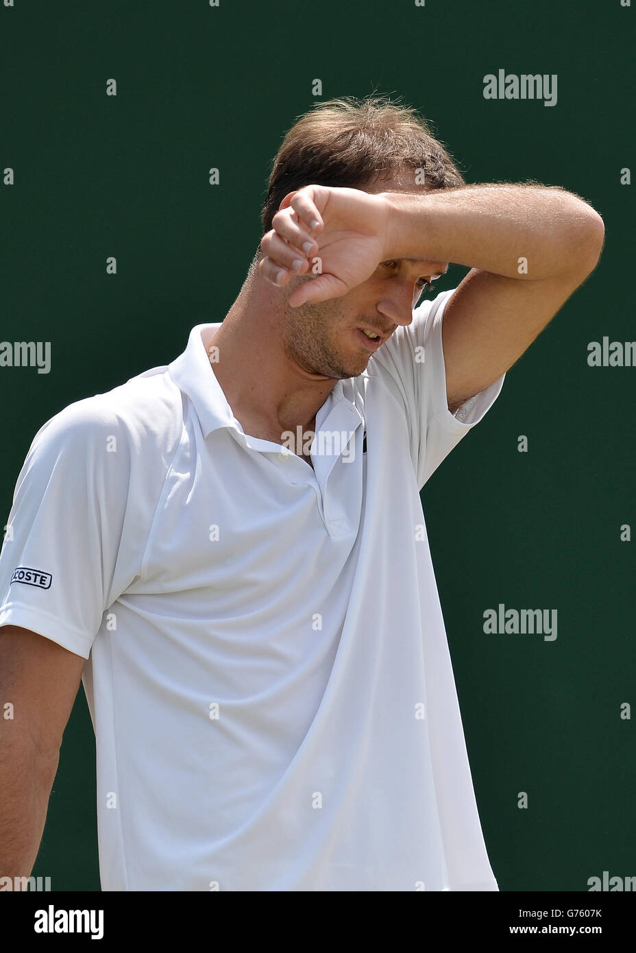 Tennis - 2014 Wimbledon Championships - Day Five - The All England Lawn ...