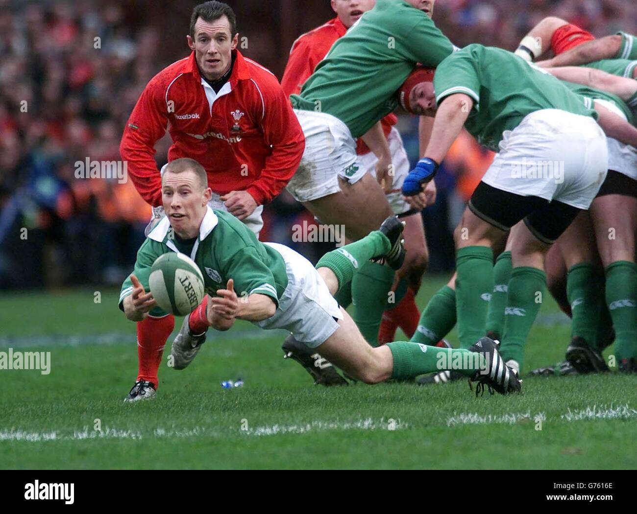 Ireland's Peter Stringer clears the ball from a scrum, during the ...