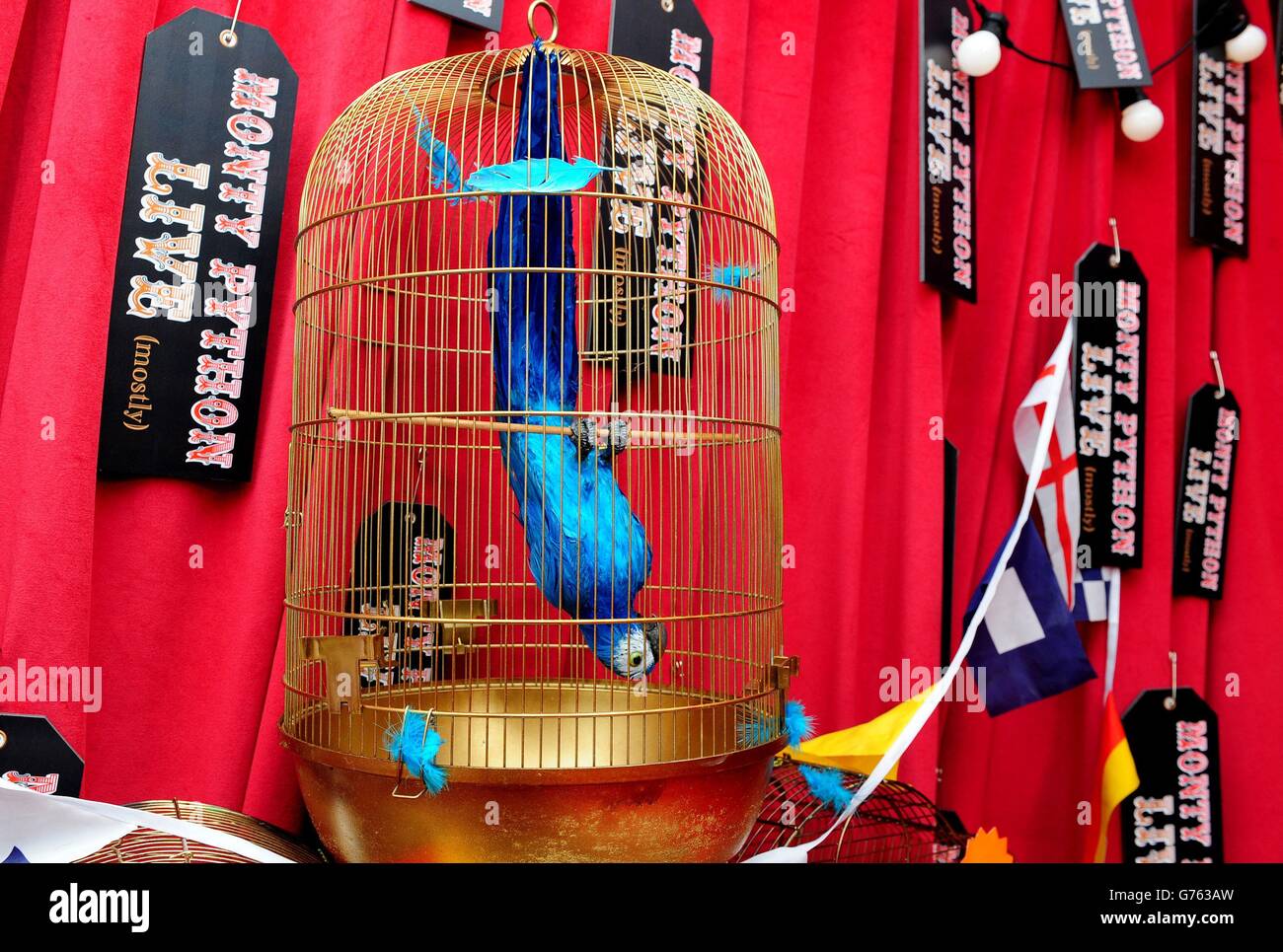 Dead parrot hi-res stock photography and images - Alamy
