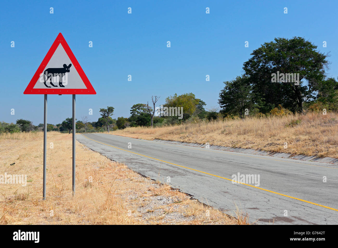road sign, traffic sign, bat-eared fox, Namibia, Africa Stock Photo - Alamy