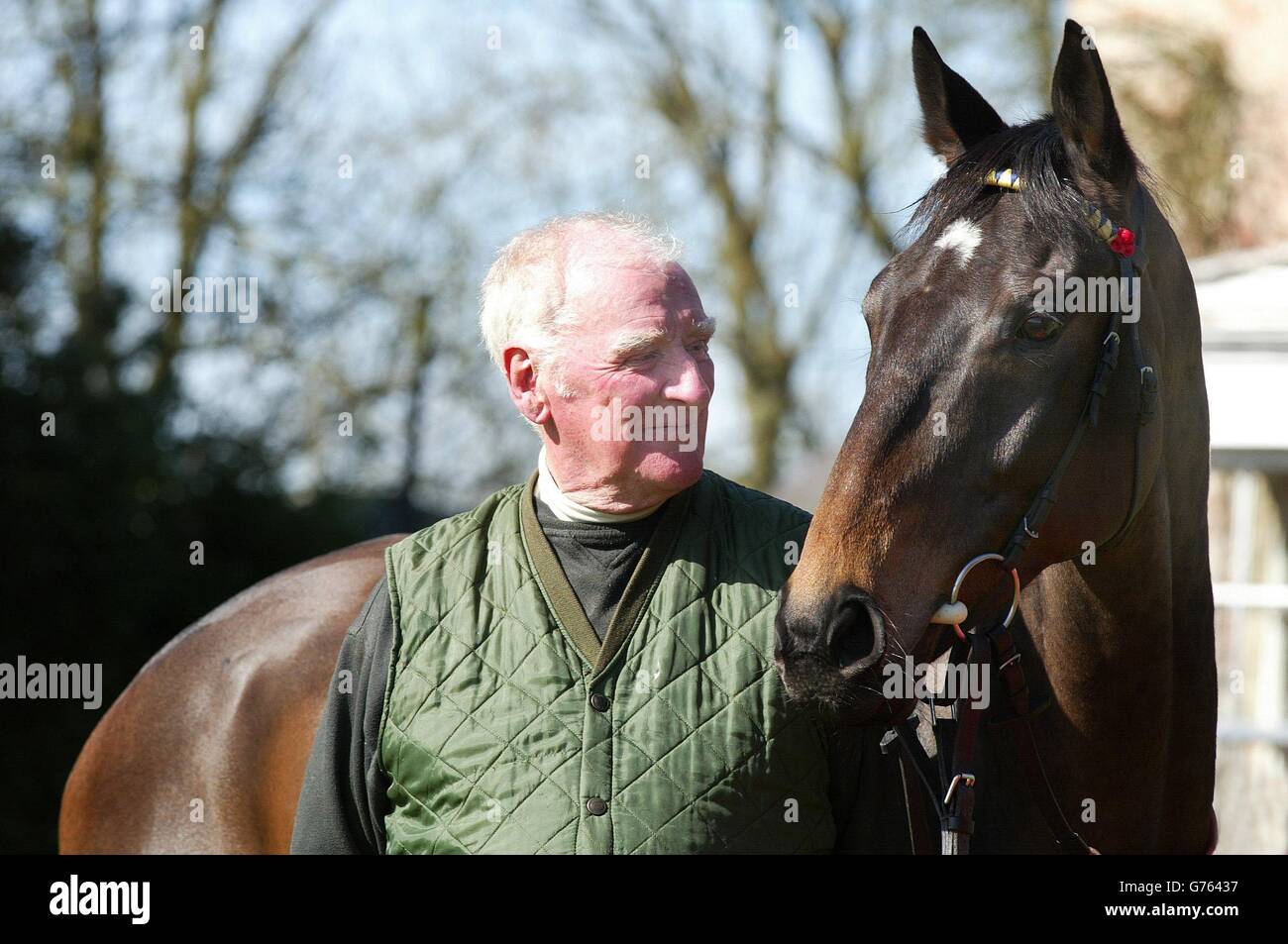 Race horse trainer ginger mccain with amberleigh house hi-res stock ...