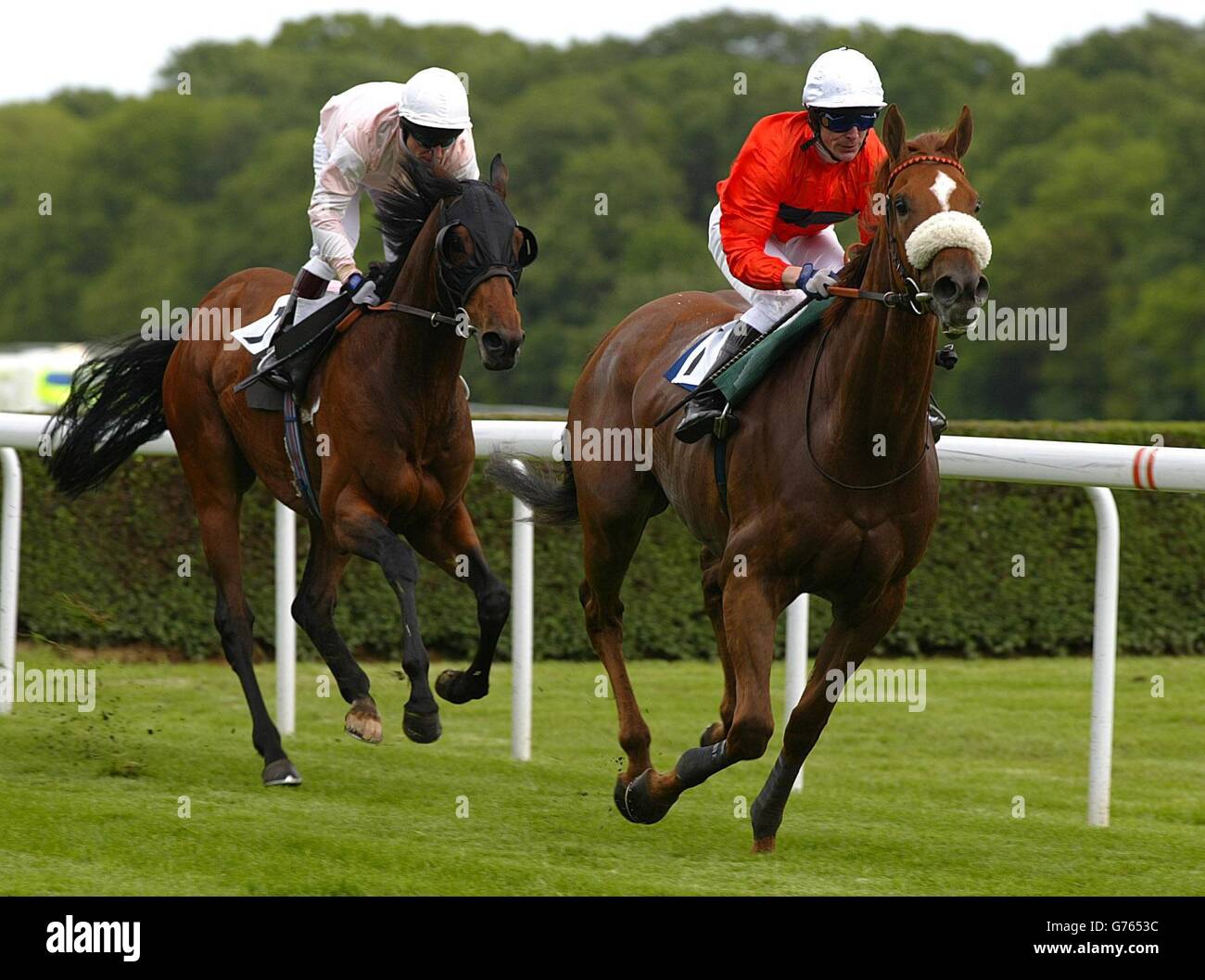 Racing from Haydock Stock Photo - Alamy
