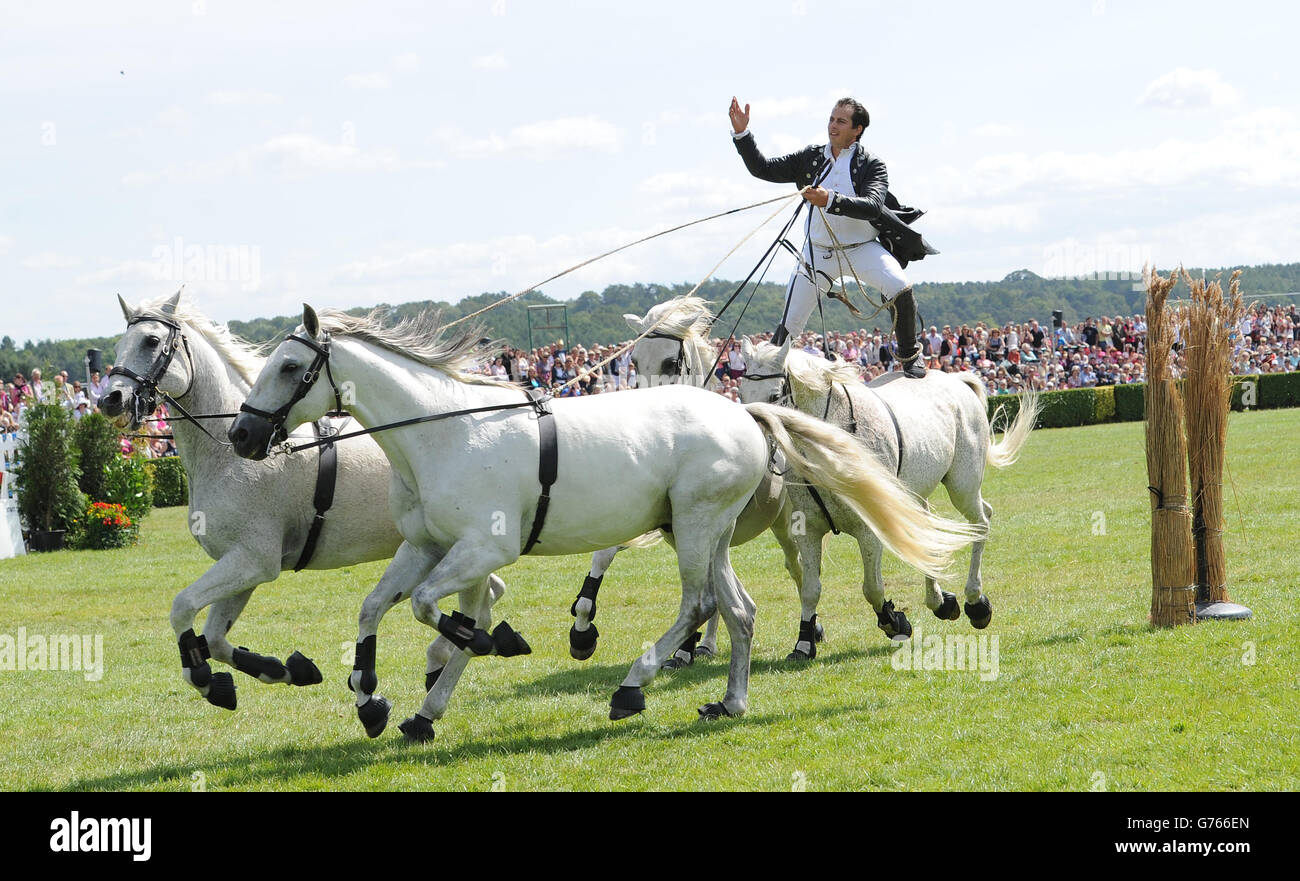 Great Yorkshire Show Stock Photo - Alamy