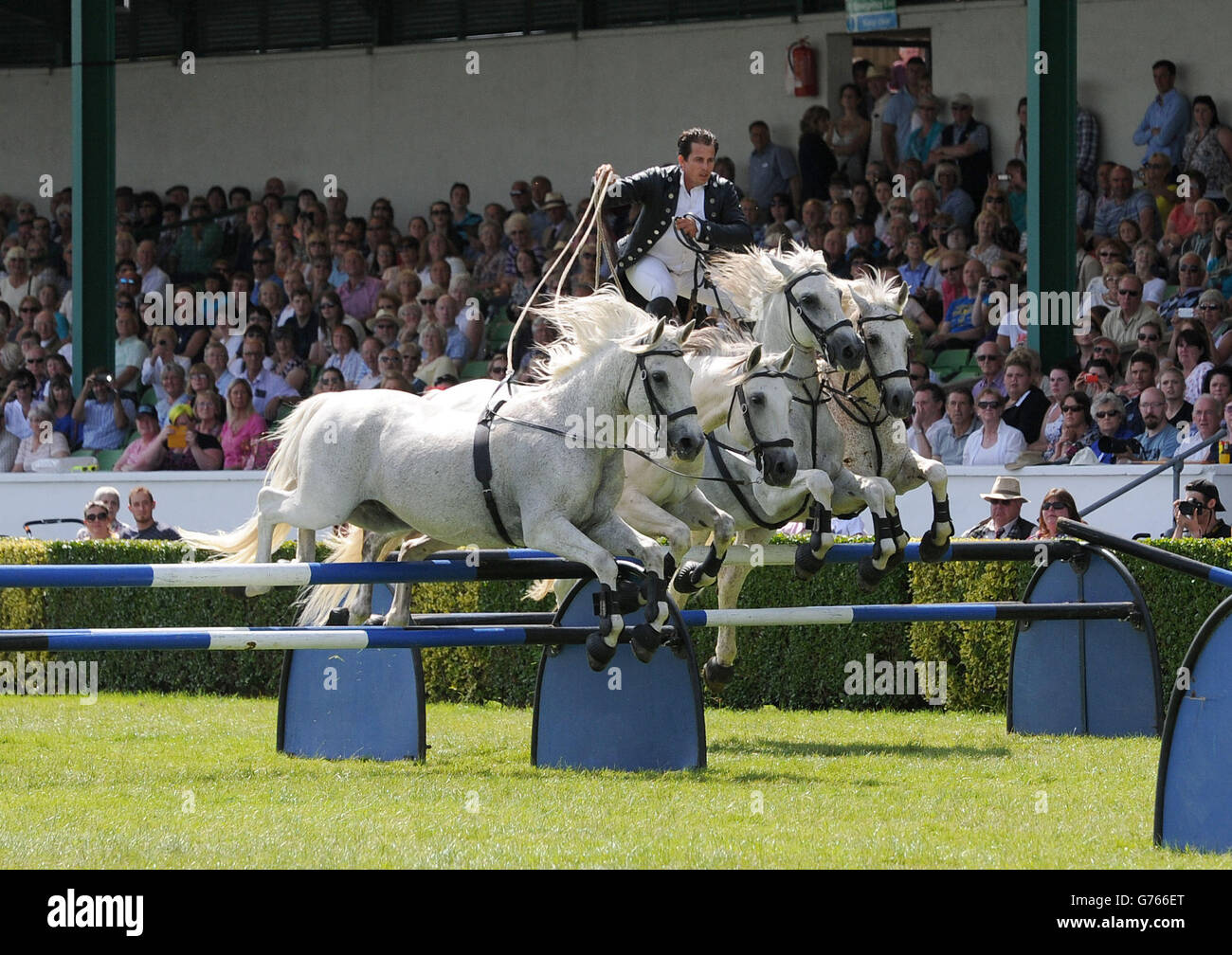 Great Yorkshire Show Stock Photo - Alamy