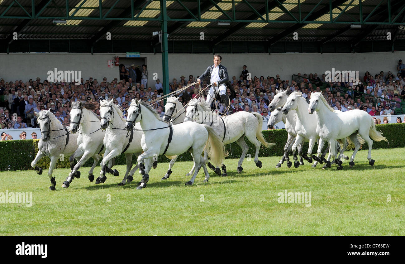 Great Yorkshire Show Stock Photo - Alamy
