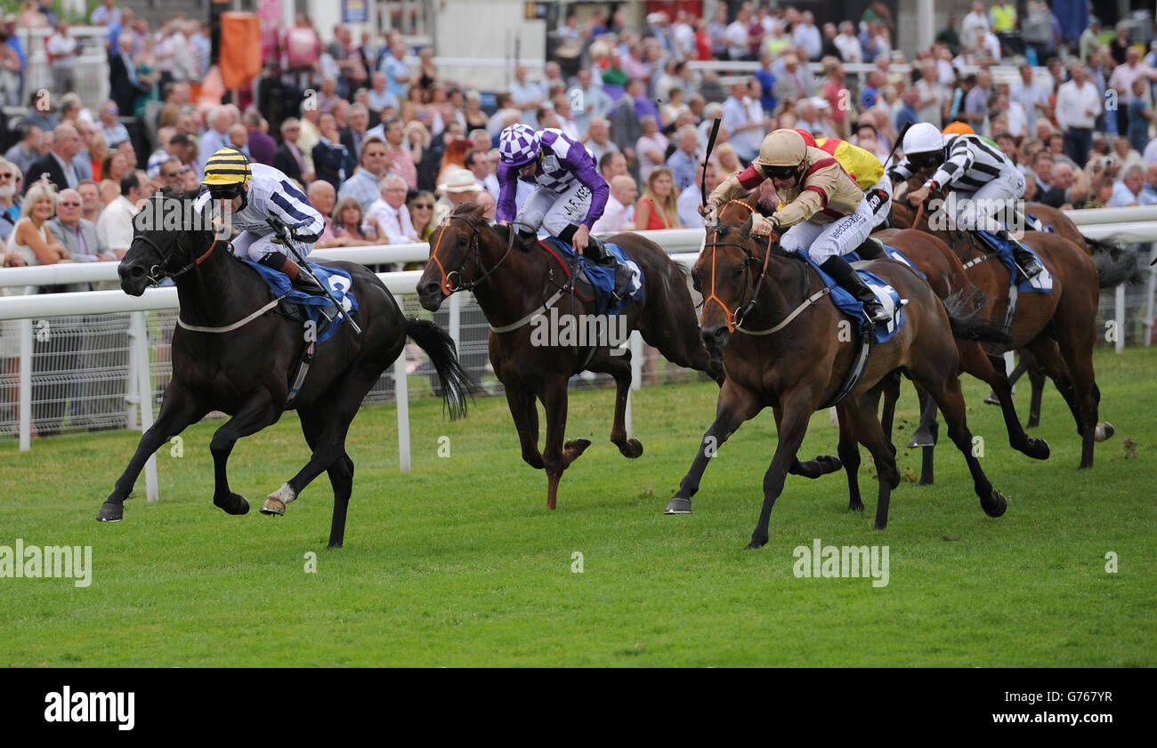 Horse Racing - 2014 John Smith's Cup Meeting - Summer Stakes Day - York ...