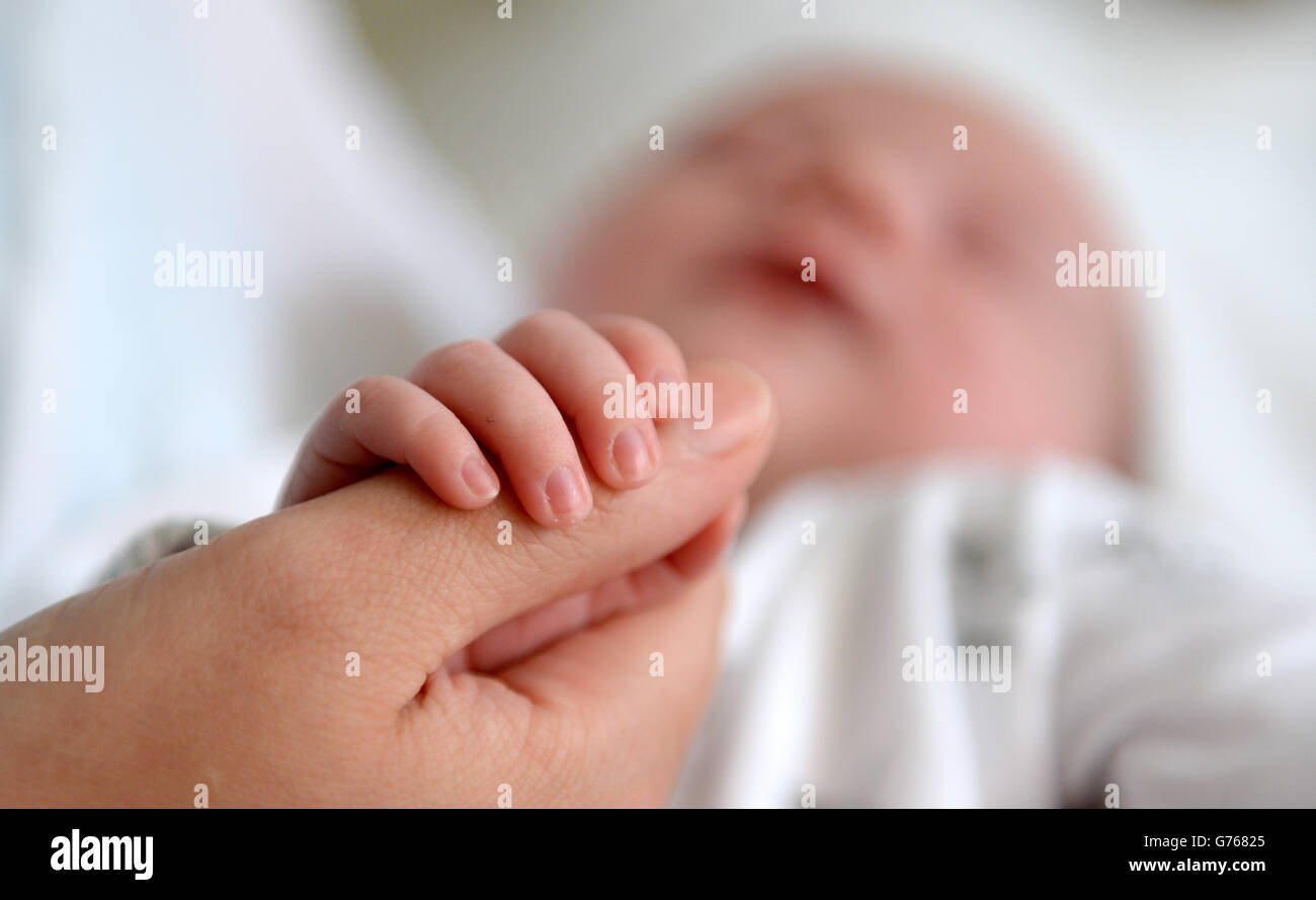 Pregnant ampics hi-res stock photography and images - Alamy