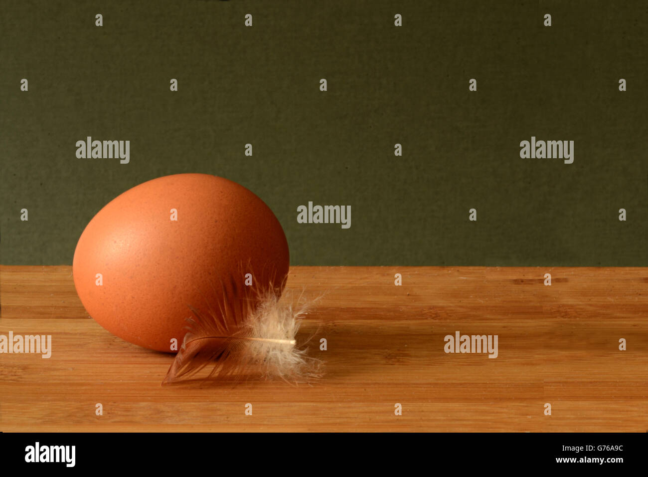 Brown egg with pinfeather lying next to it on a wood table. Eggs are an ...