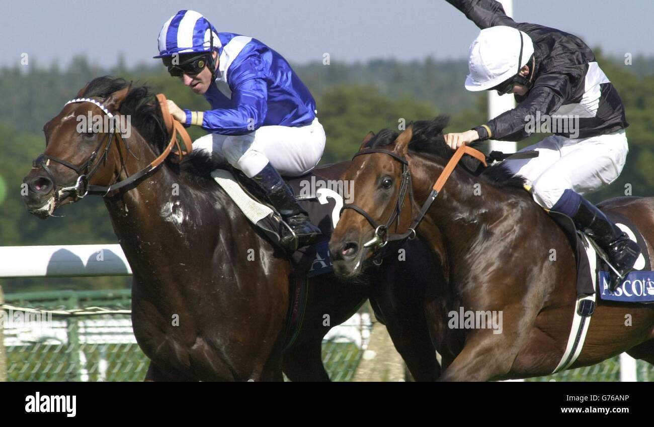 Al jadeed hi-res stock photography and images - Alamy