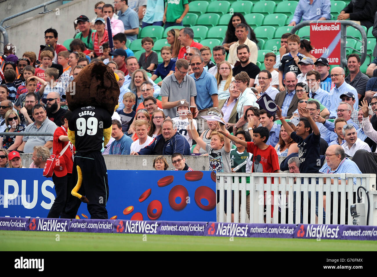 Entertains in the stands hi-res stock photography and images - Alamy